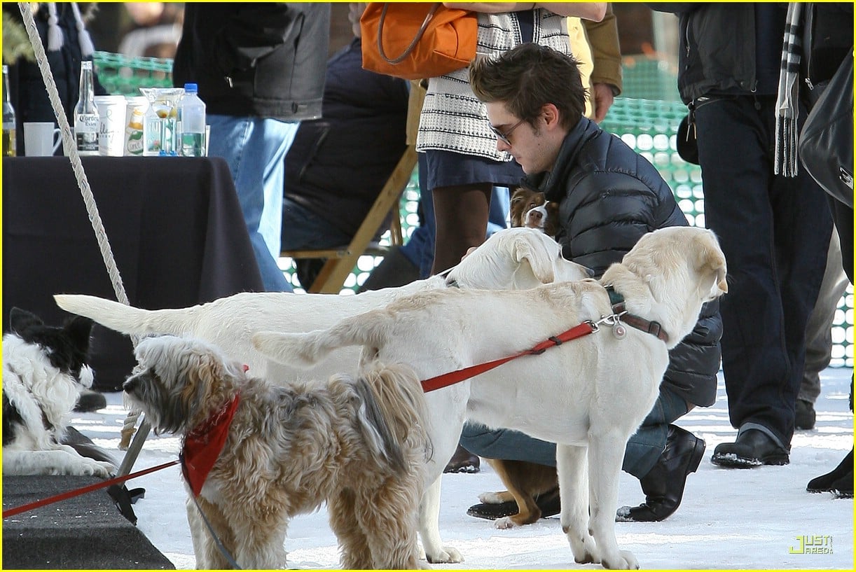 Zac Efron is a Dog Lovin' Dude | Photo 353007 - Photo Gallery | Just ...