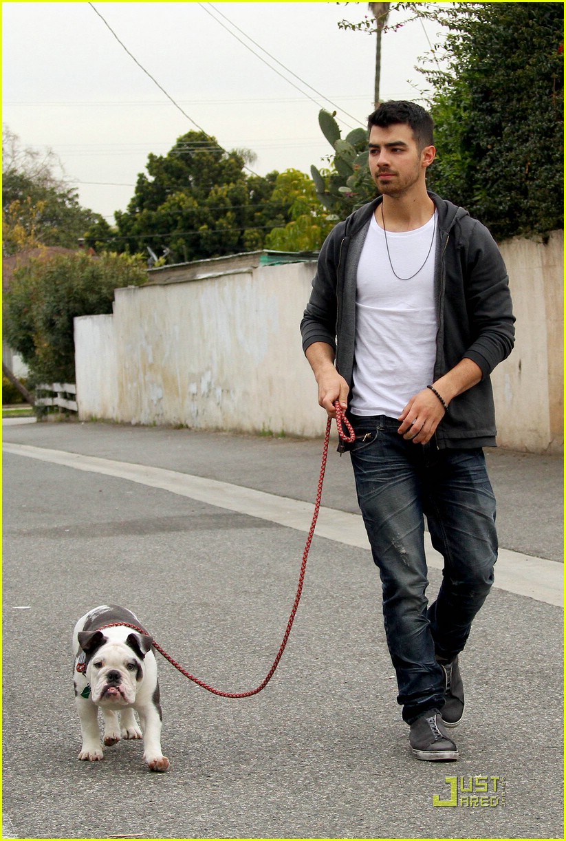 Joe Jonas: Winston Goes To The Doctor | Photo 407463 - Photo Gallery ...