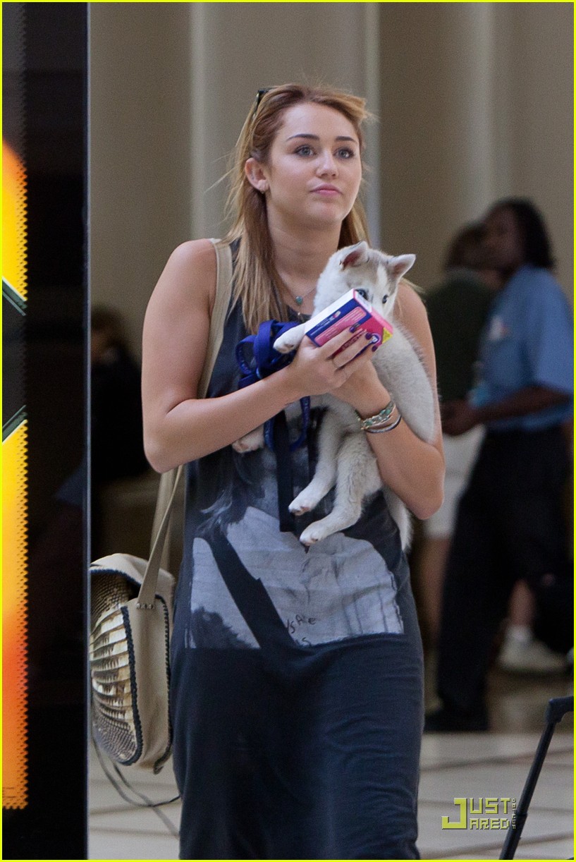 Miley Cyrus & Floyd Take Flight | Photo 426539 - Photo Gallery | Just ...