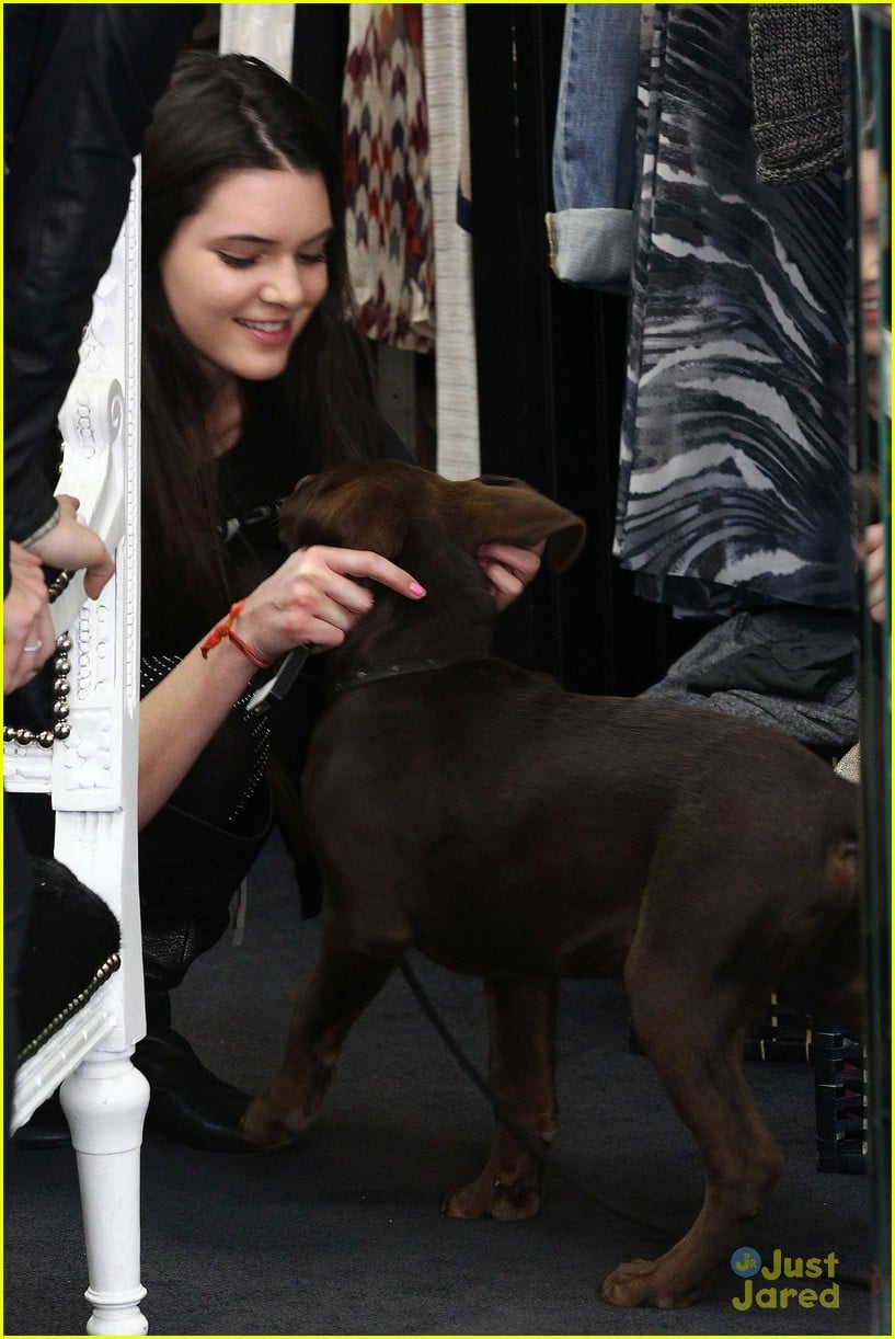 Kendall Jenner: Dog & Dash! | Photo 456322 - Photo Gallery | Just Jared Jr.
