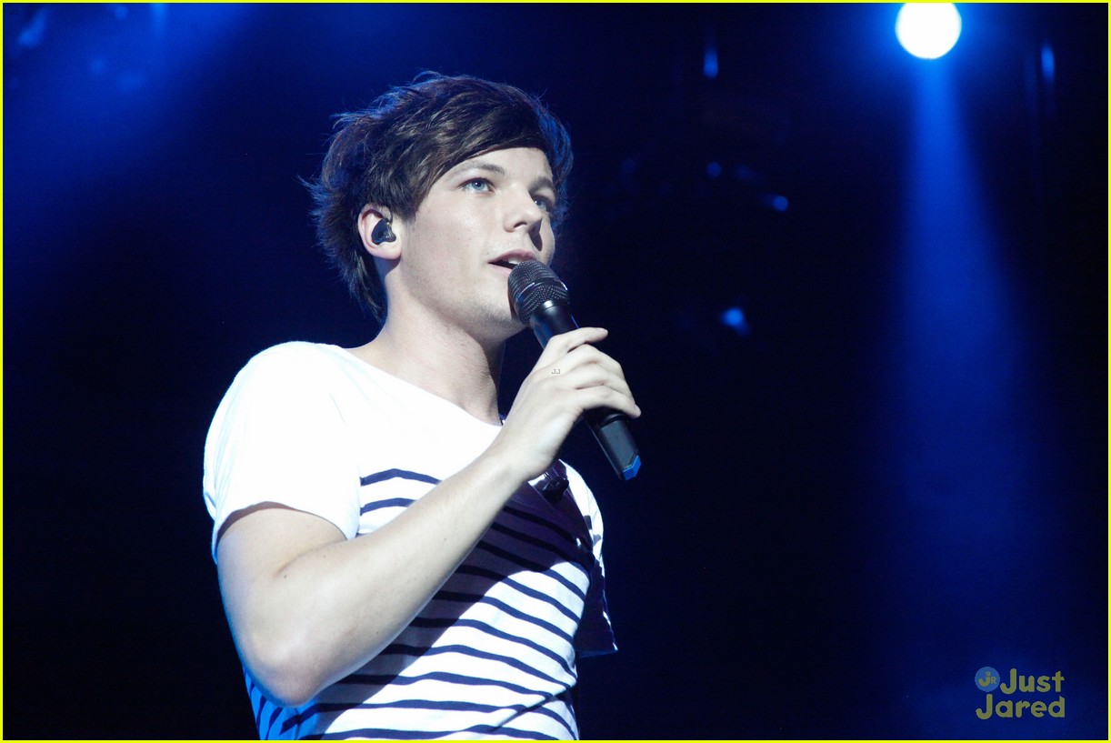 One Direction's Summer Concert Tour Continues! | Photo 474975 - Photo ...