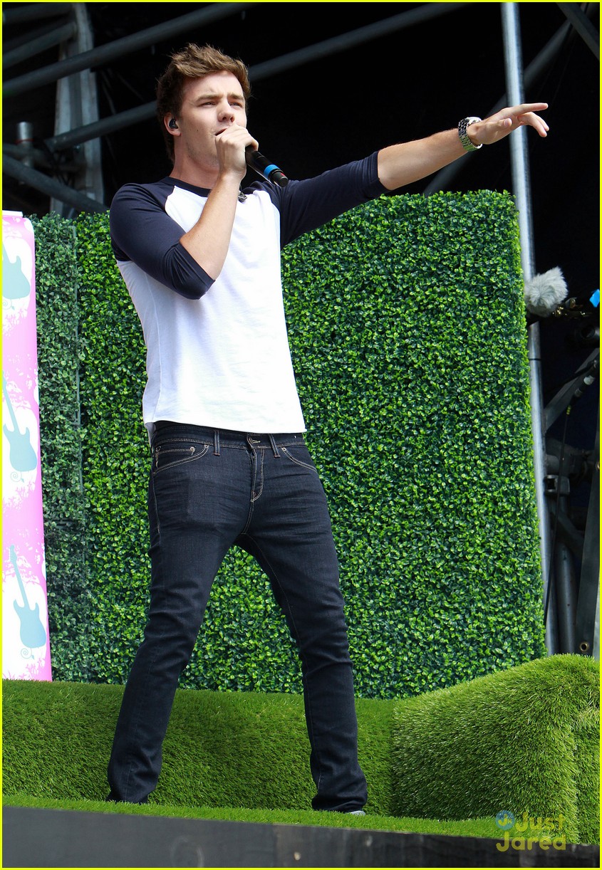 One Direction Have a Party In The Park | Photo 483496 - Photo Gallery ...
