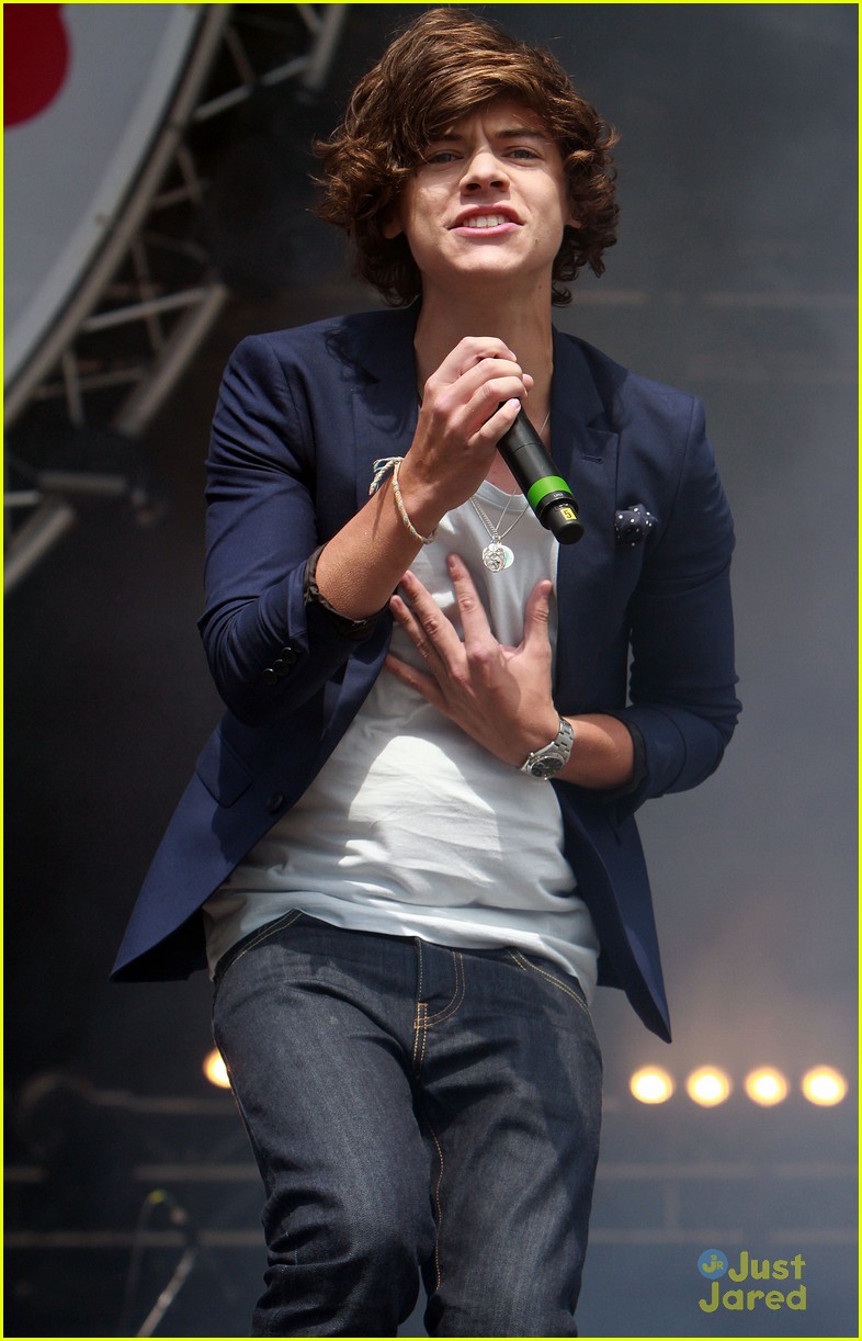 One Direction Have a Party In The Park | Photo 483497 - Photo Gallery ...