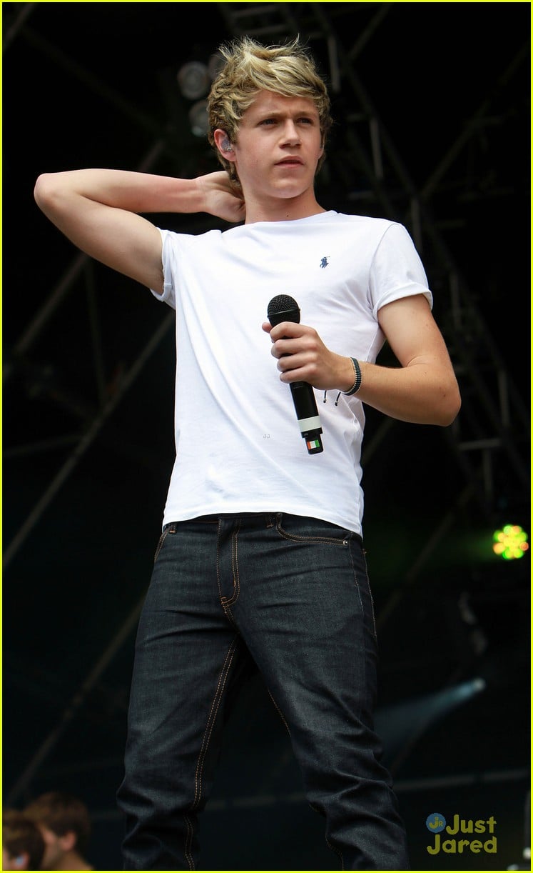 One Direction Have a Party In The Park | Photo 483498 - Photo Gallery ...
