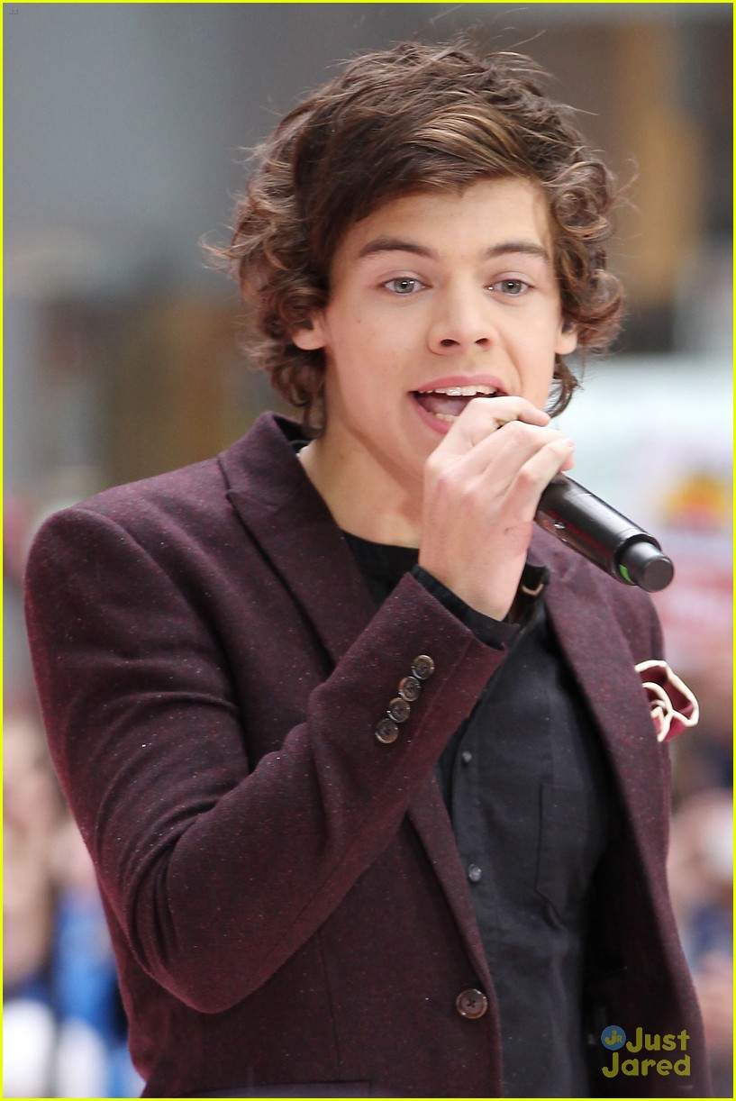 One Direction: 3D Movie Coming! | Photo 509709 - Photo Gallery | Just ...