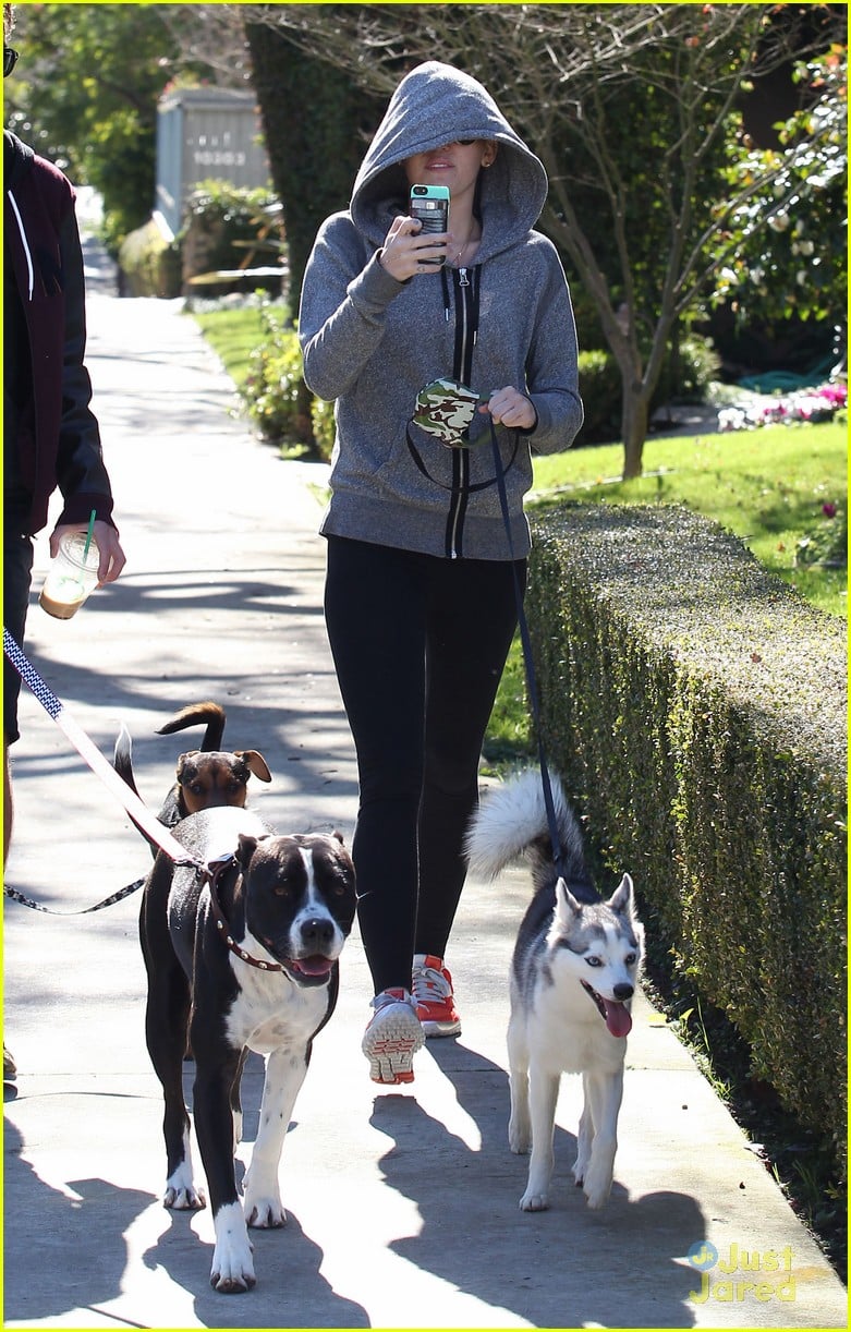 Miley Cyrus Walks The Dogs | Photo 527435 - Photo Gallery | Just Jared Jr.