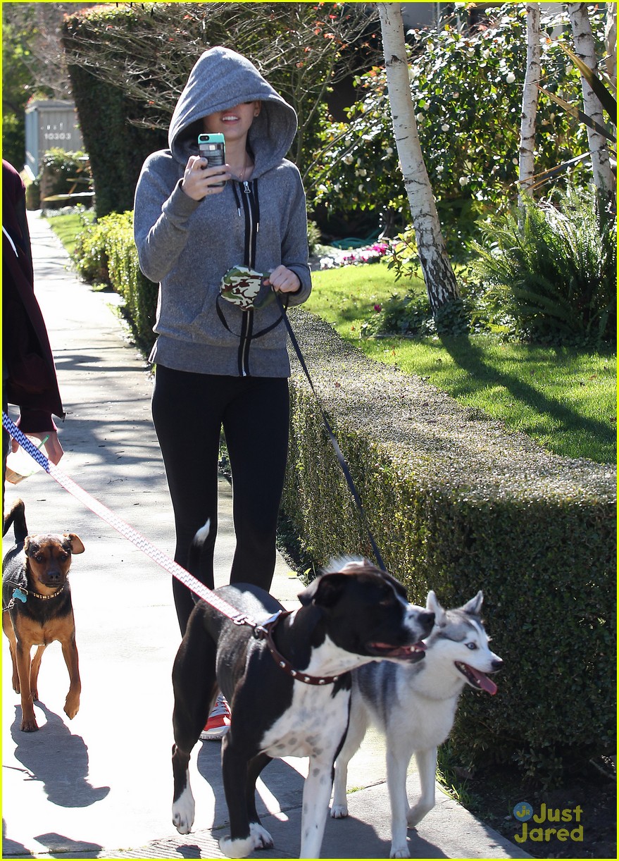 Full Sized Photo of miley cyrus dog walk monday 10 | Miley Cyrus Walks ...