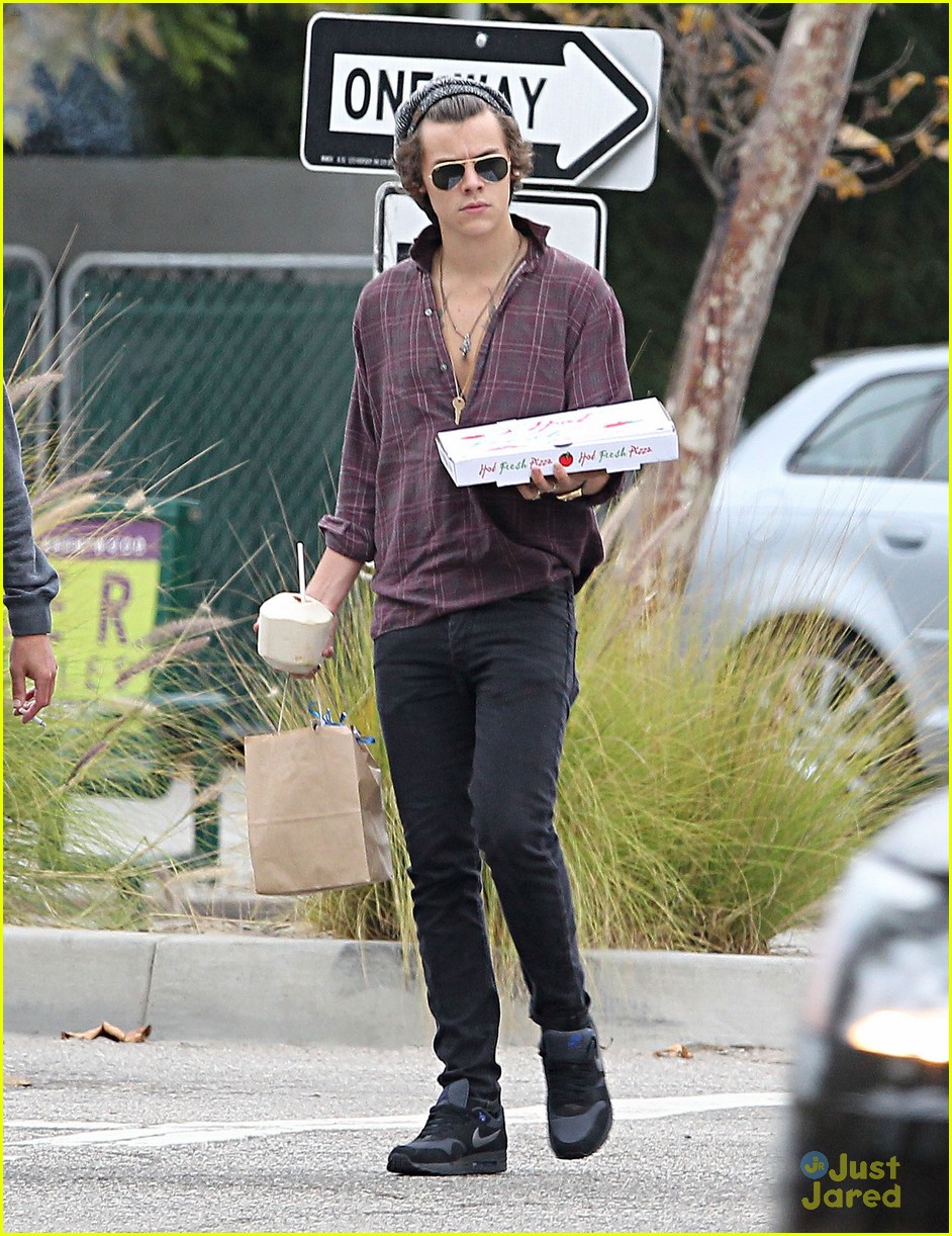 Harry Styles: Food Before Flight | Photo 599931 - Photo Gallery | Just ...