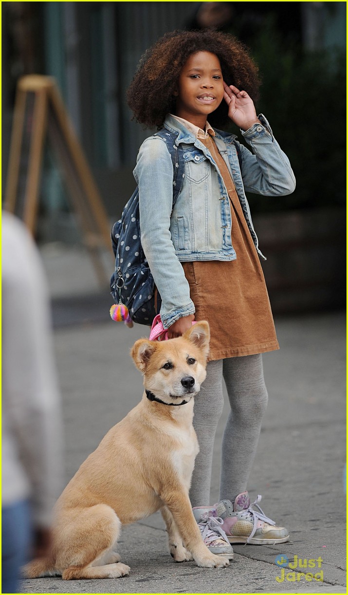 What Breed Of Dog Is Sandy In Annie 2021 at Amelie Woolley blog