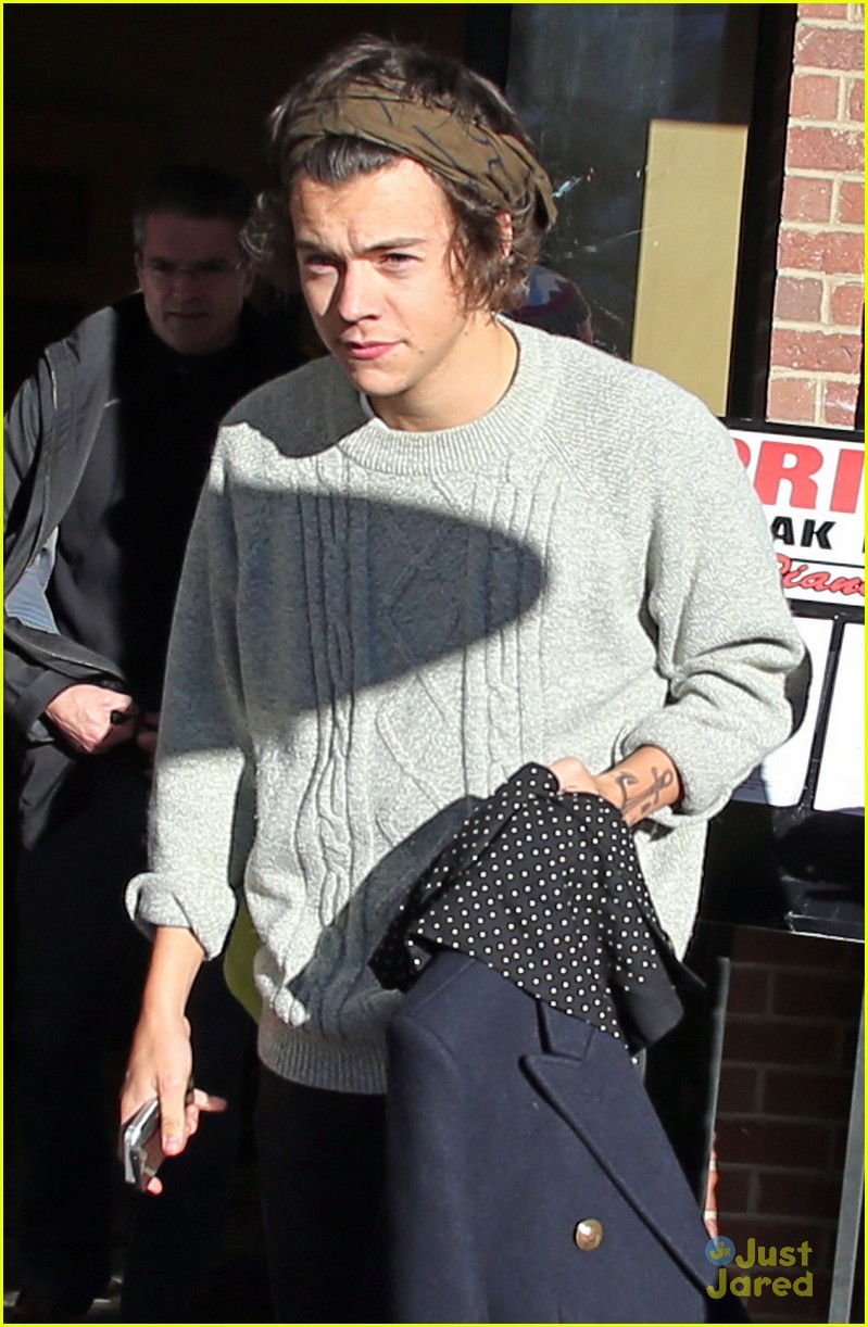 Harry Styles: 'Wish I Was Here' at Sundance Film Fest | Photo 635809 ...