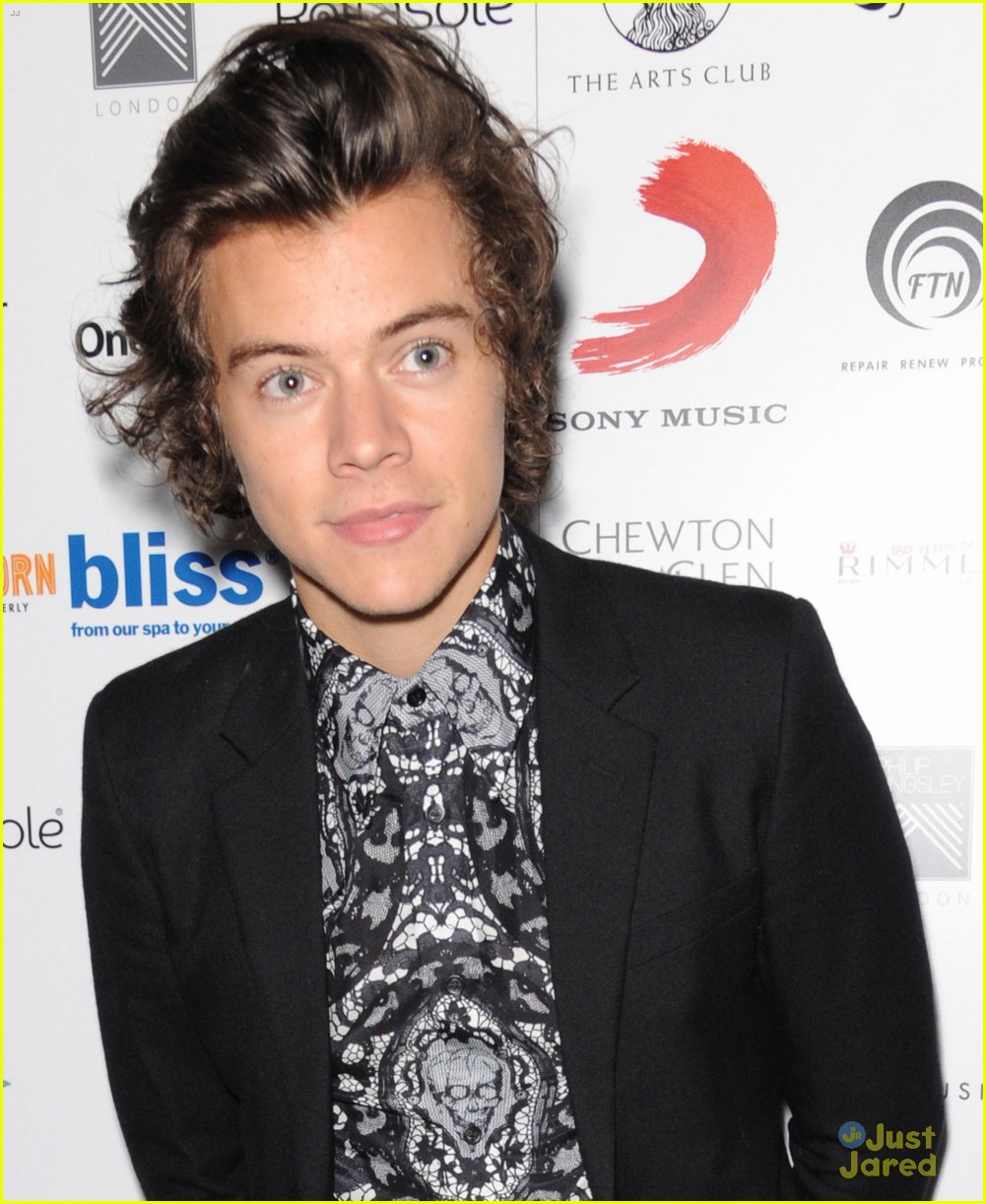 Harry Styles & Niall Horan: BRIT Awards 2014 Sony After-Party with Liam ...