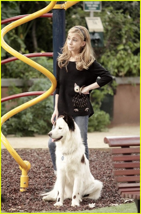 Blake Michael Wants Nikki Back in 'Dog With A Blog' | Photo 650098 ...