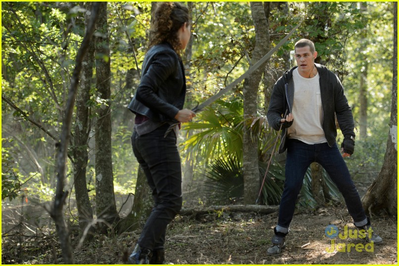 Roman & Drake Do Everything To Protect Emery in 'Star-Crossed' Tonight ...