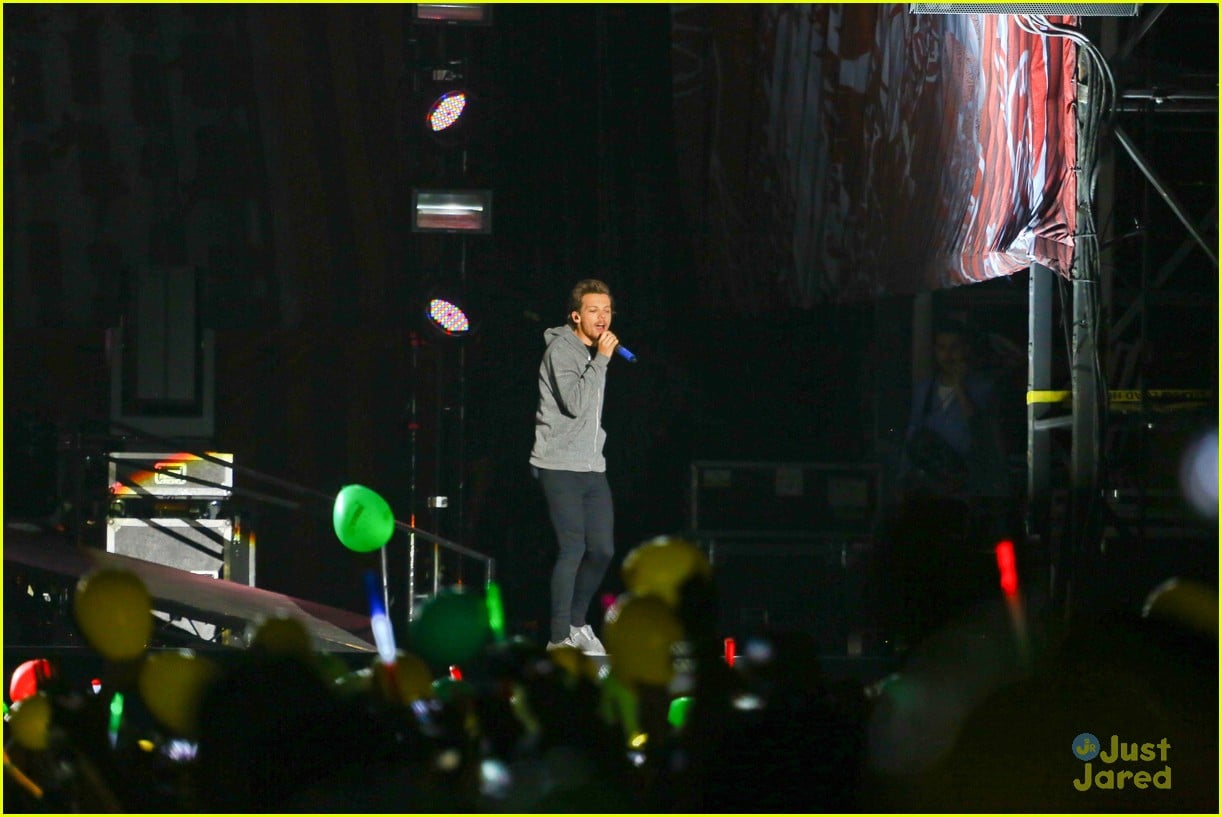 One Direction: See All The Rio Concert Pics Here! | Photo 673384 ...