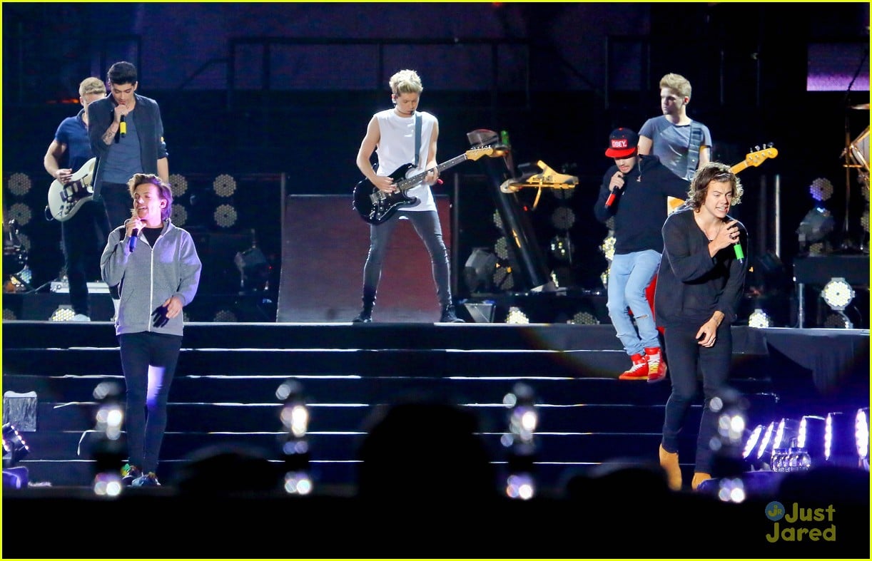 One Direction: See All The Rio Concert Pics Here! | Photo 673391 ...