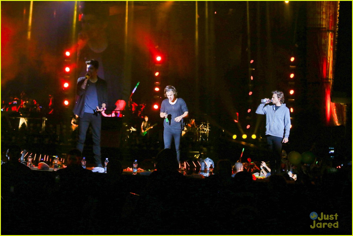One Direction: See All The Rio Concert Pics Here! | Photo 673396 ...