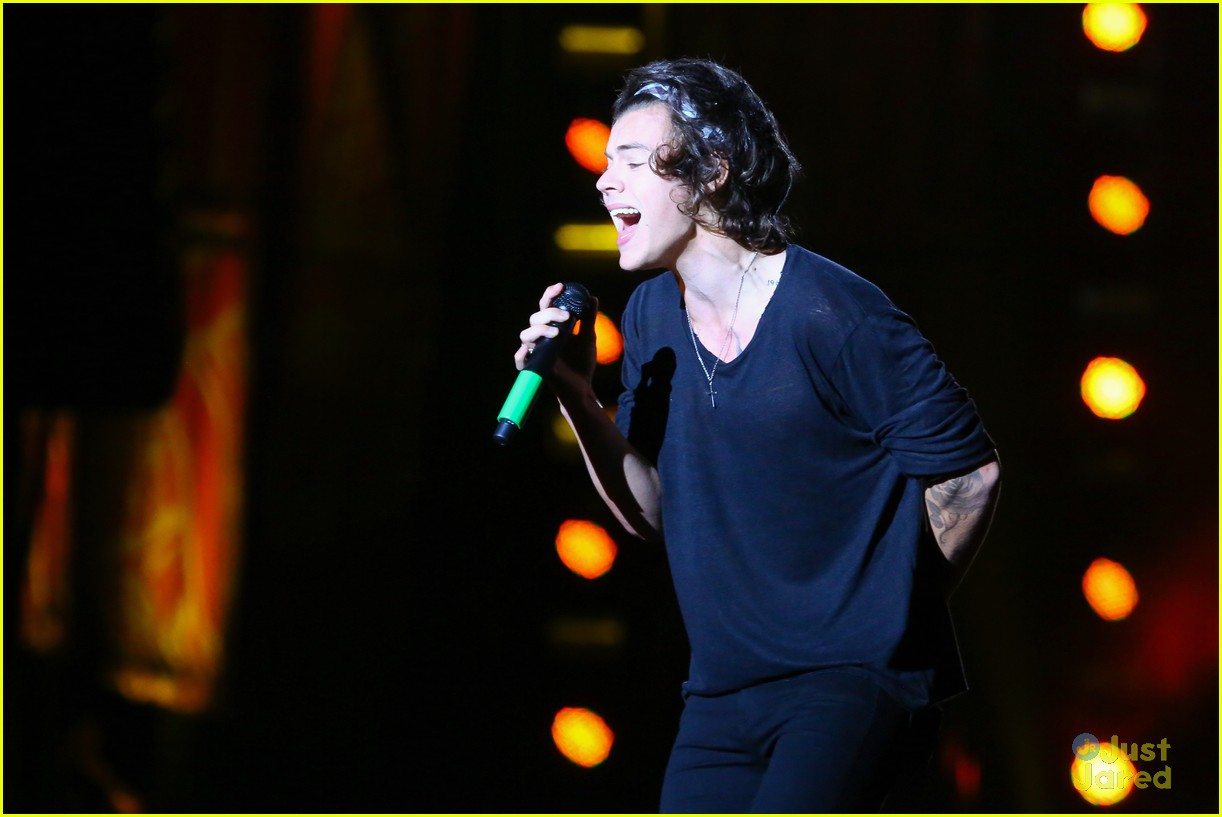 One Direction: See All The Rio Concert Pics Here! | Photo 673397 ...