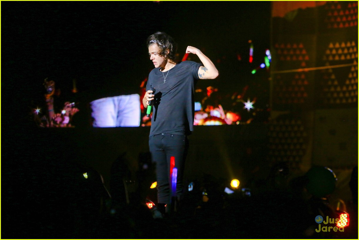 One Direction: See All The Rio Concert Pics Here! | Photo 673401 ...