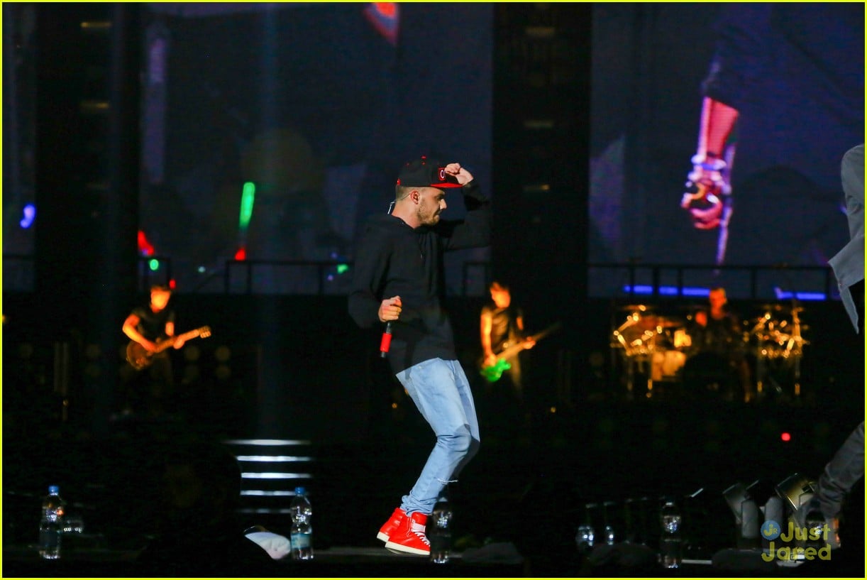One Direction: See All The Rio Concert Pics Here! | Photo 673404 ...
