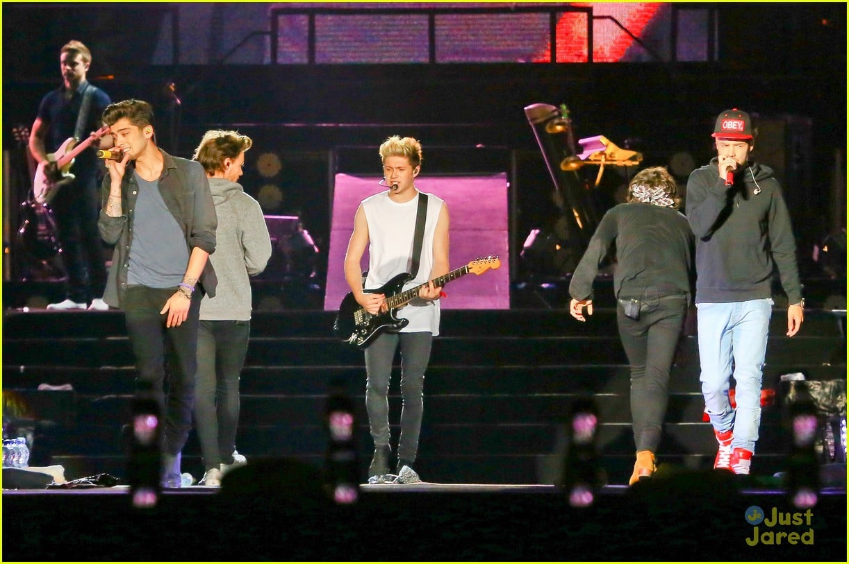 One Direction: See All The Rio Concert Pics Here! | Photo 673410 ...