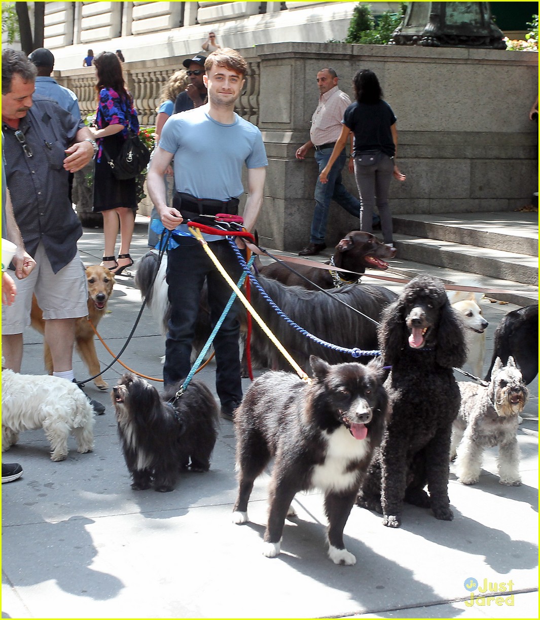 Daniel Radcliffe Walks Multiple Dogs While Filming 'Trainwreck' in ...