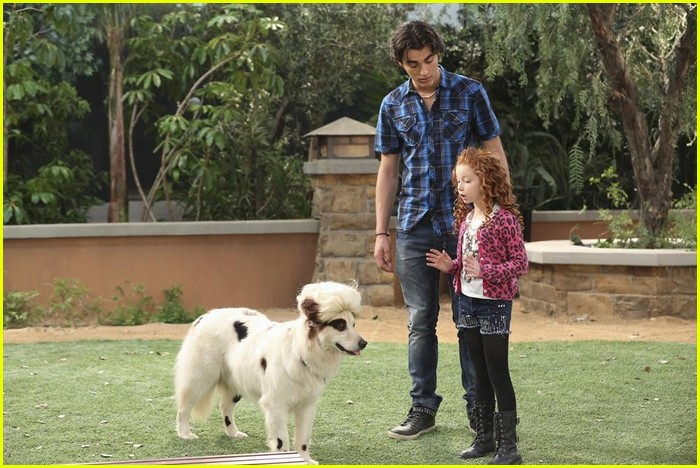 Stan Isn't The Only One Getting A Makeover on Tonight's 'Dog With A ...