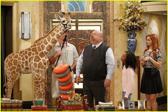 Full Sized Photo of jessie stills giraffe moby scoby 09 | The Ross ...