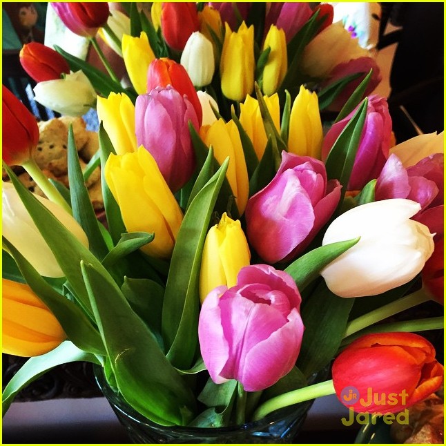 Rydel Lynch Throws The Perfect Springtime Tea Party - See The Pics ...