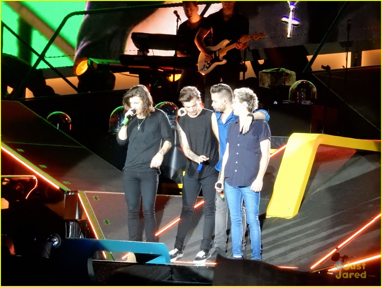 One Direction Guys Pursue Solo Projects, But Stay Together | Photo ...