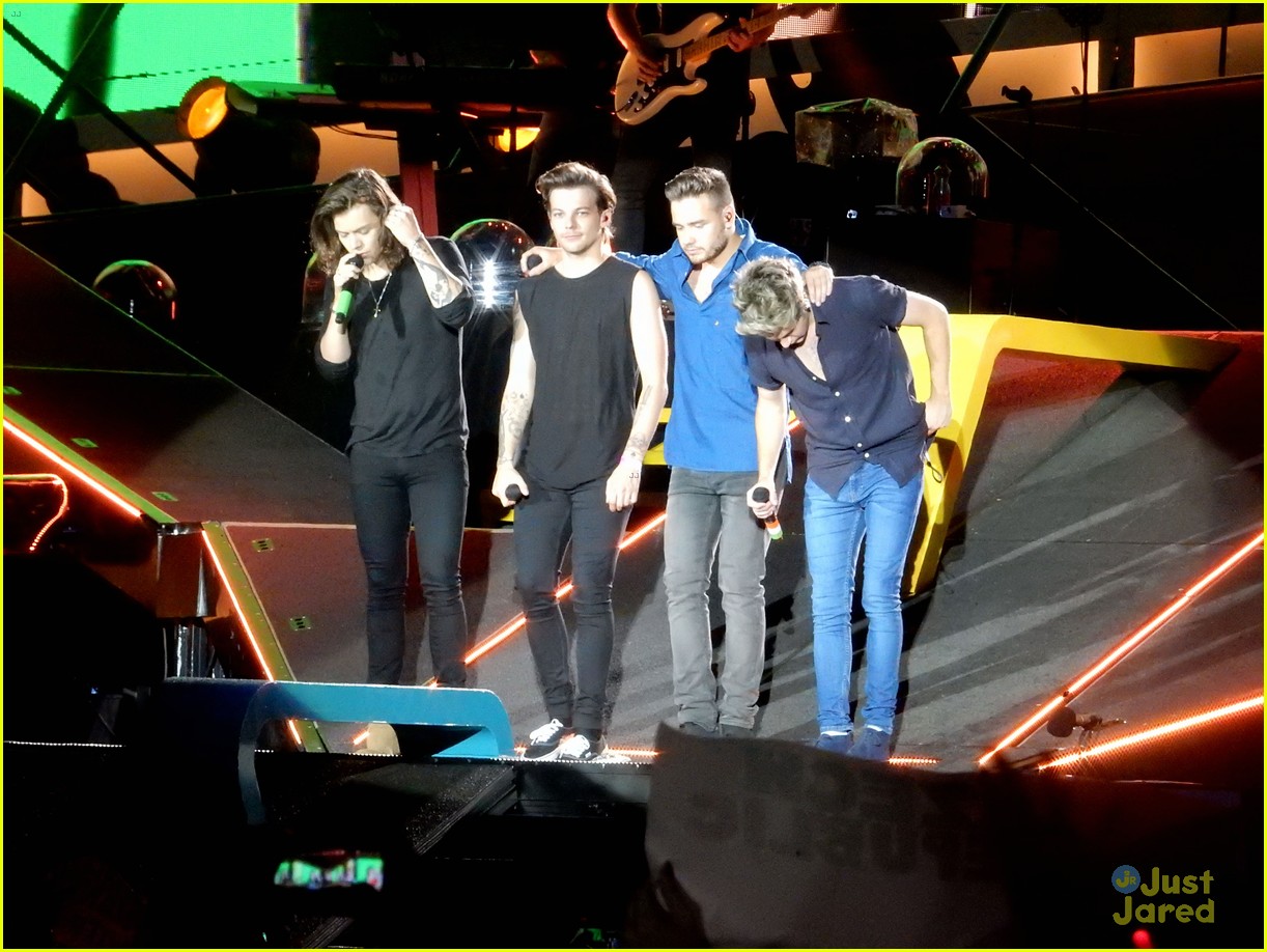 One Direction Guys Pursue Solo Projects, But Stay Together | Photo ...