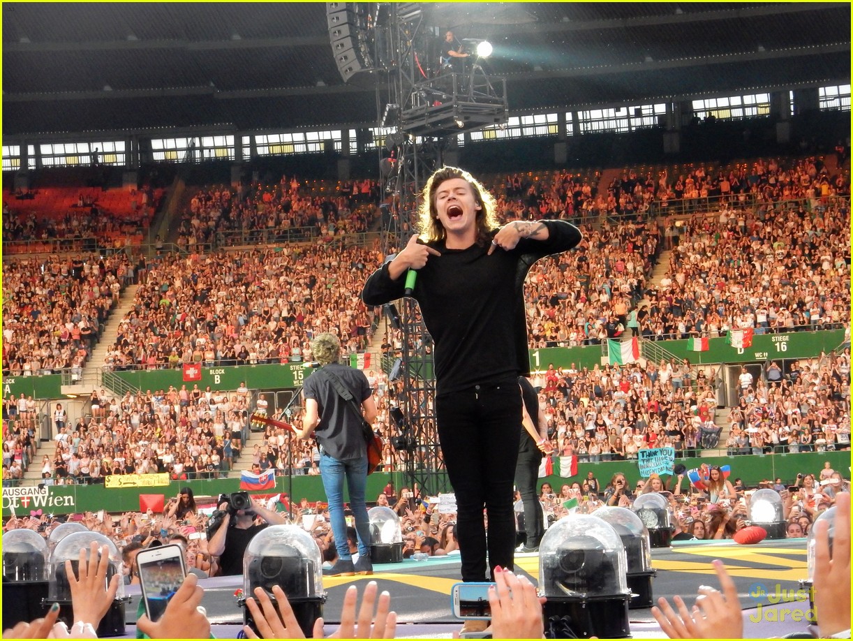 One Direction Guys Pursue Solo Projects, But Stay Together | Photo ...