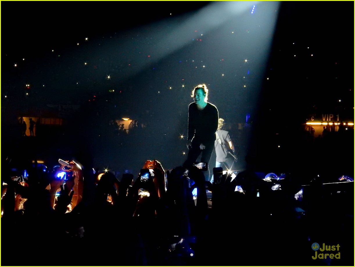 One Direction Guys Pursue Solo Projects, But Stay Together | Photo ...