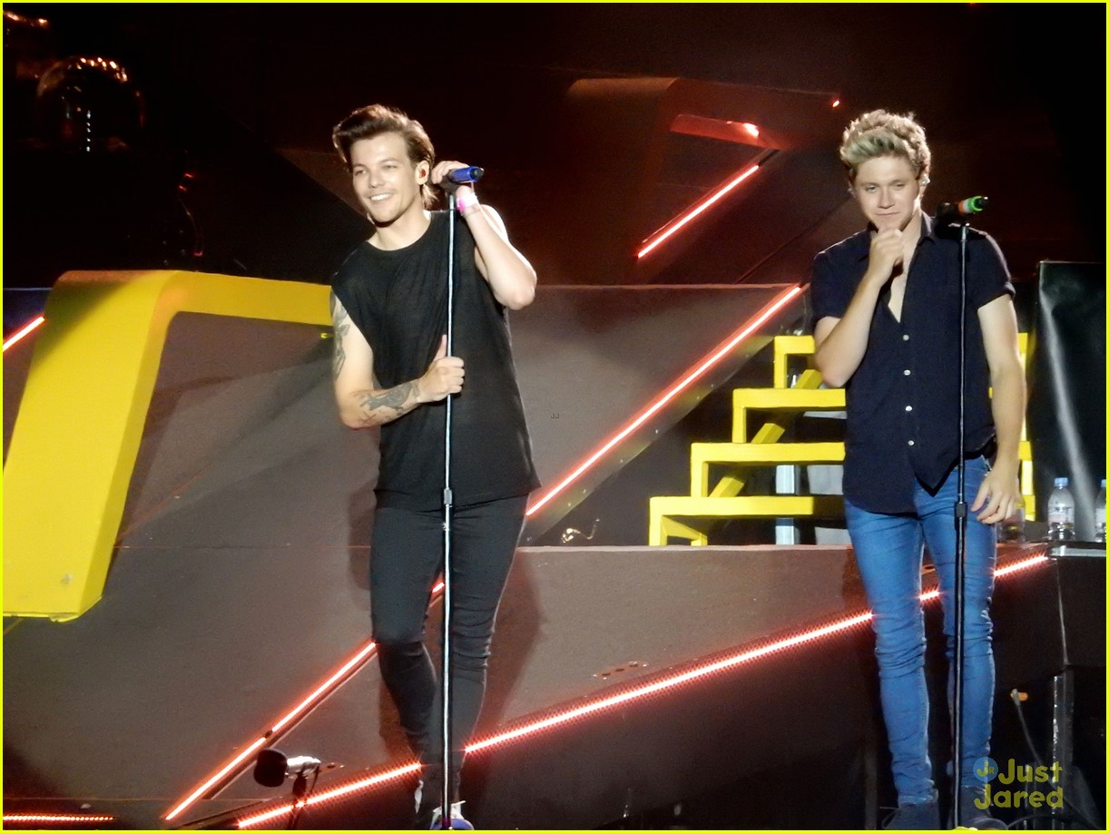 One Direction Guys Pursue Solo Projects, But Stay Together | Photo ...