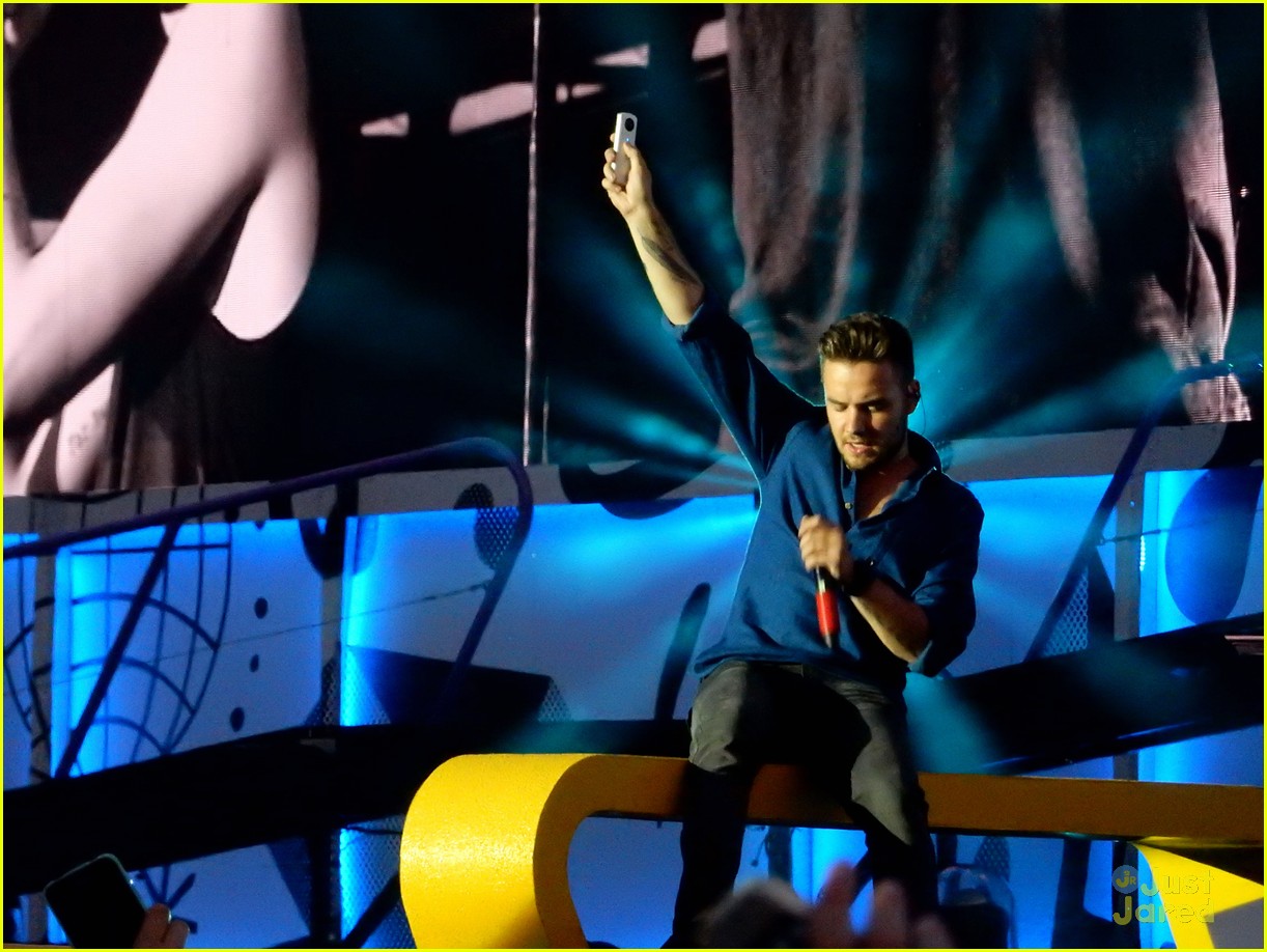 One Direction Guys Pursue Solo Projects, But Stay Together | Photo ...