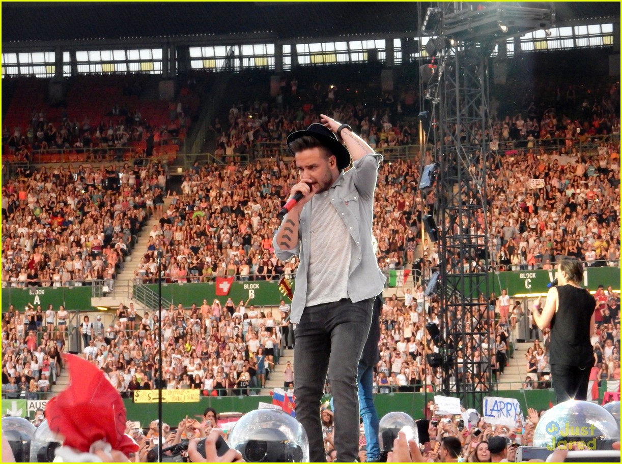 One Direction Guys Pursue Solo Projects, But Stay Together | Photo ...