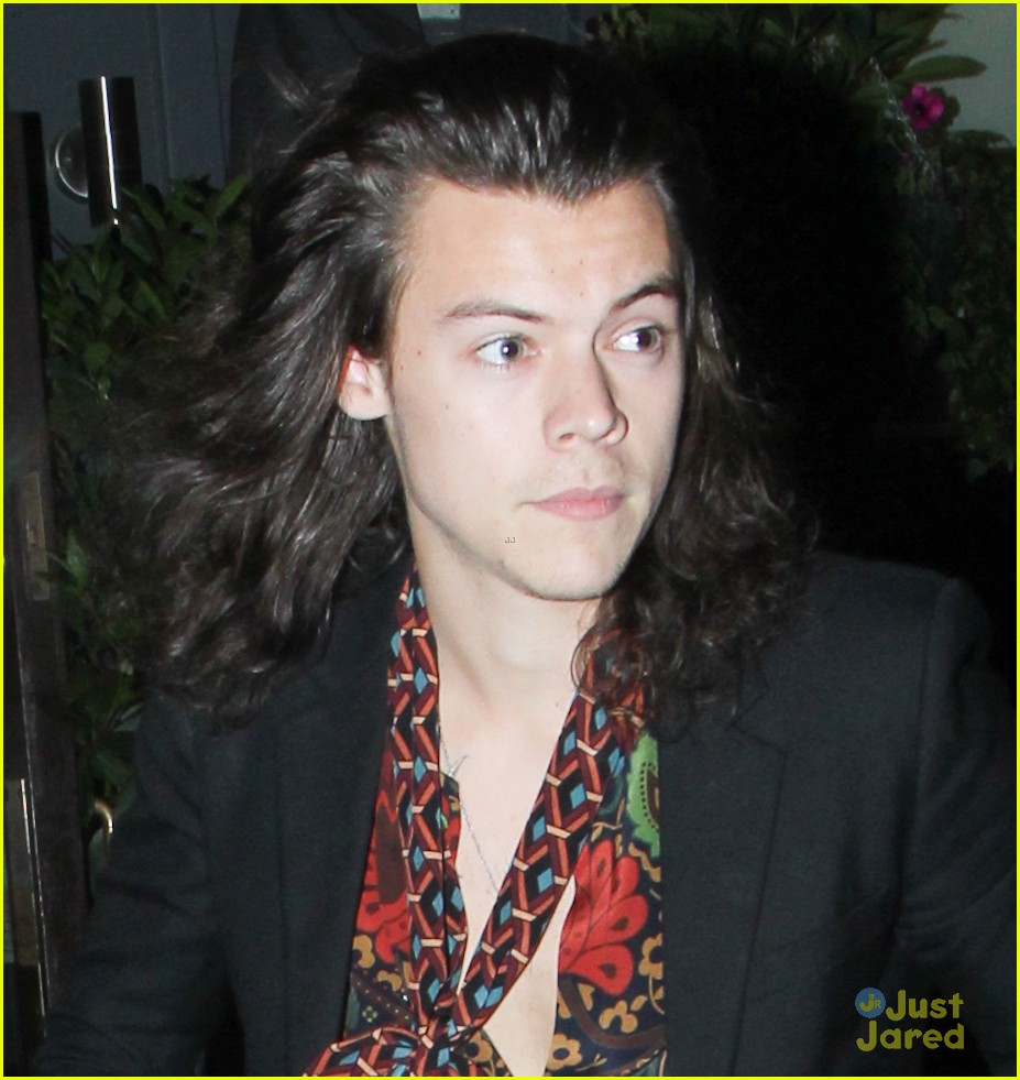 Harry Styles Reportedly Hooking Up With Victoria's Secret Model Sara ...
