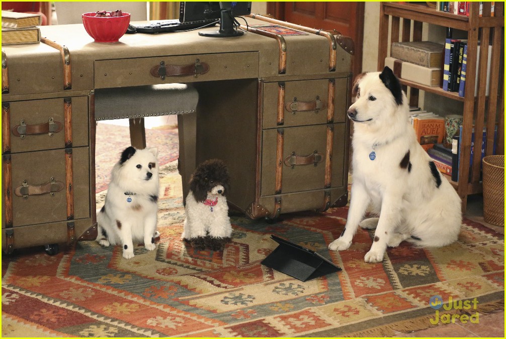 Is Max Really Dating Karl On 'Dog With A Blog'?! | Photo 839310 - Photo ...