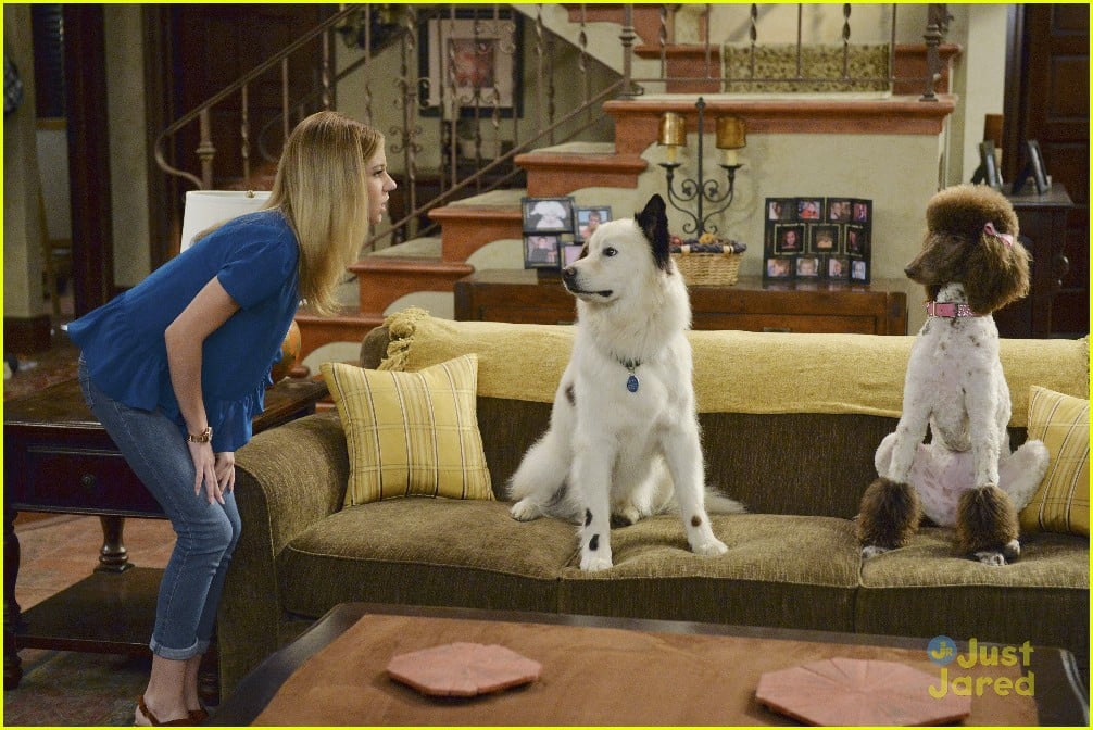 Full Sized Photo of dog blog stan rescuep princess stills 18 | Stan ...