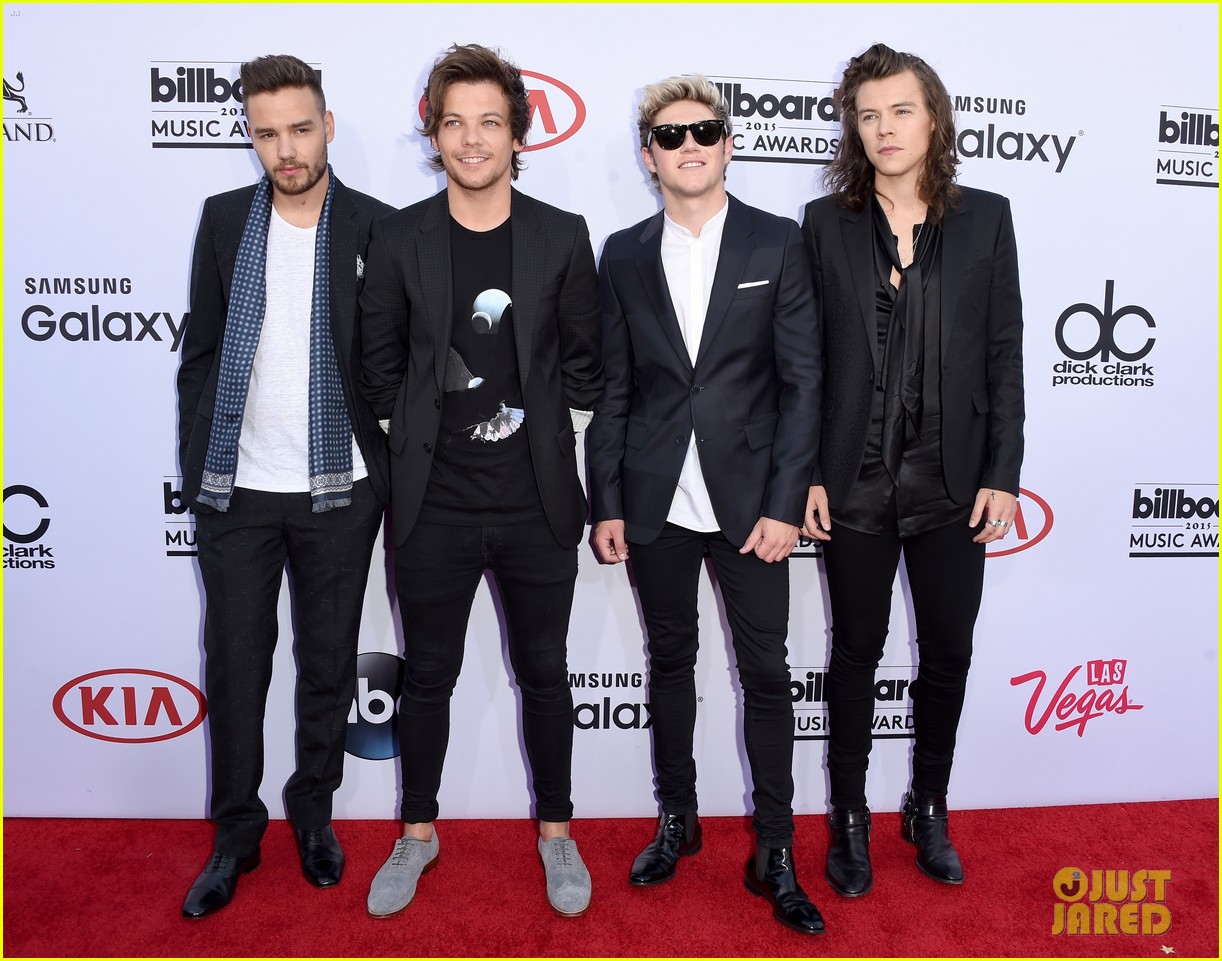 One Direction Is Going to Take a Year Long Break | Photo 855583 - Photo ...