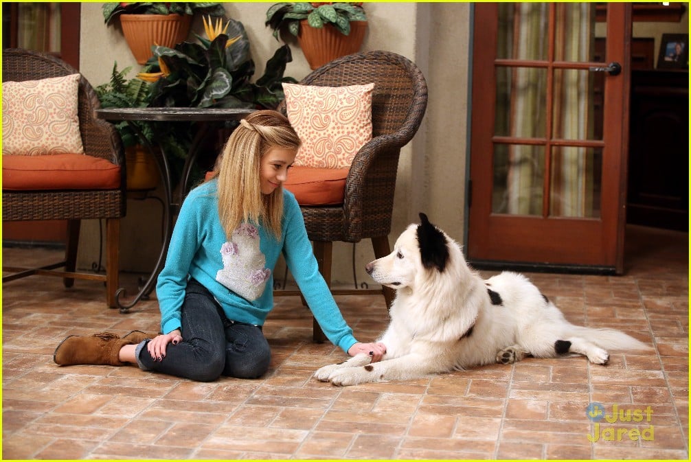 Will Avery Get Her License In Tonight's 'Dog With A Blog'? | Photo ...