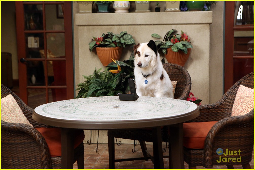 Full Sized Photo of dog blog avery driving stills 05 | Will Avery Get ...