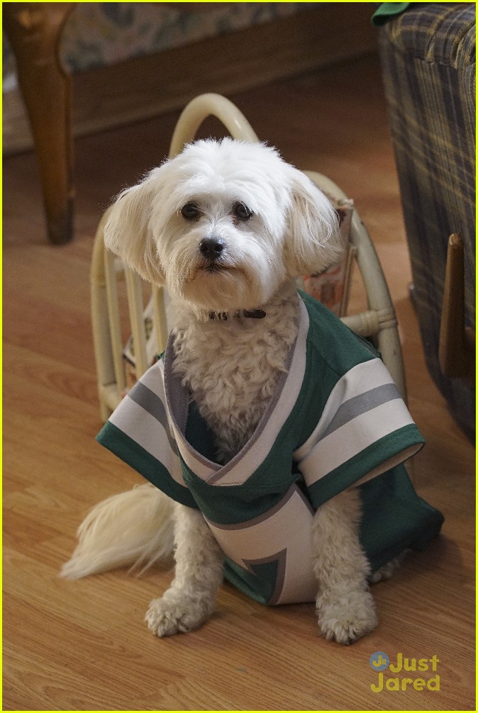Full Sized Photo of barry dog beg goldbergs lucky stills 17 | The ...