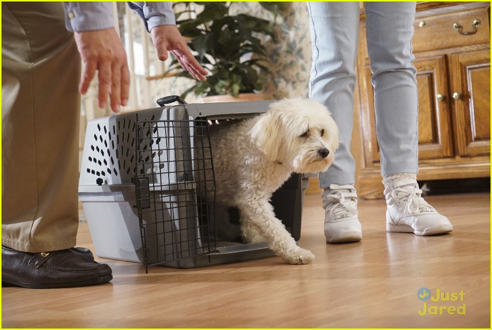 The Goldberg's Troy Gentile Shows Us The Perfect Way To Beg For A Dog ...