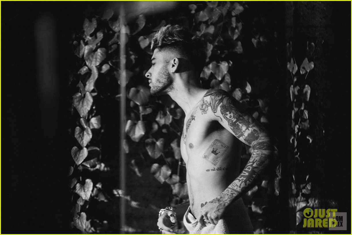 Zayn Malik on Life After One Direction: 'It's Nice to Have the Chance ...