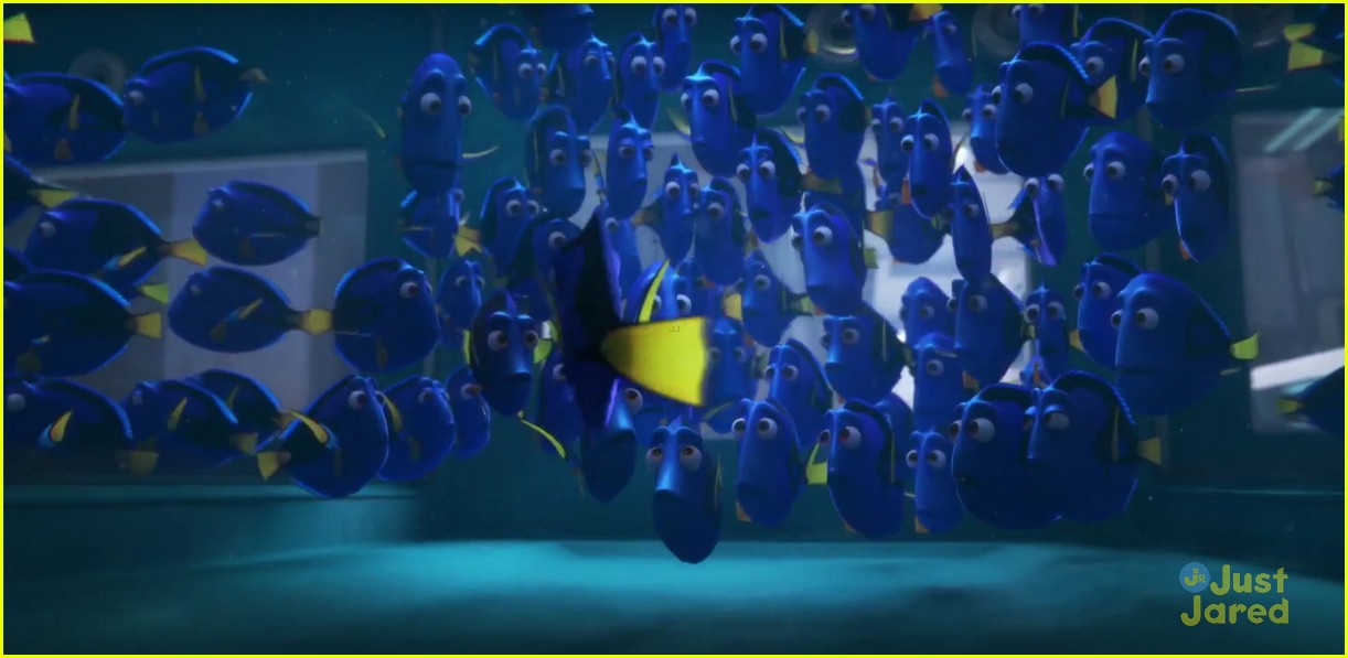 New 'Finding Dory' Teaser Reveals New Scenes From Flick! | Photo 962623 ...