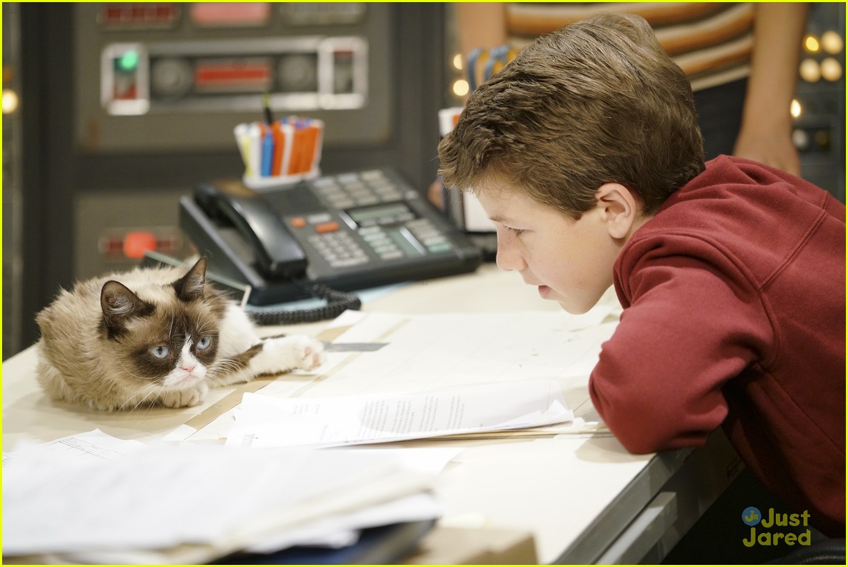 JoJo Siwa & Grumpy Cat to Guest Star on 'Bizaardvark' | Photo 982901 ...