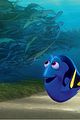 The Voices of Nemo Step Out For ‘Finding Dory’ Premiere in Hollywood ...