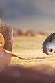 New Images From Disney Pixar Short ‘Piper’ Revealed | Finding Dory ...