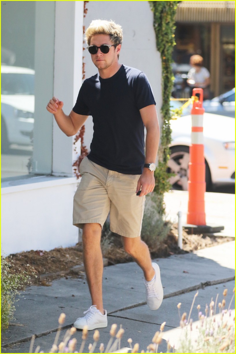 Niall Horan & Louis Tomlinson Challenge Haters to a Rap Battle | Photo ...