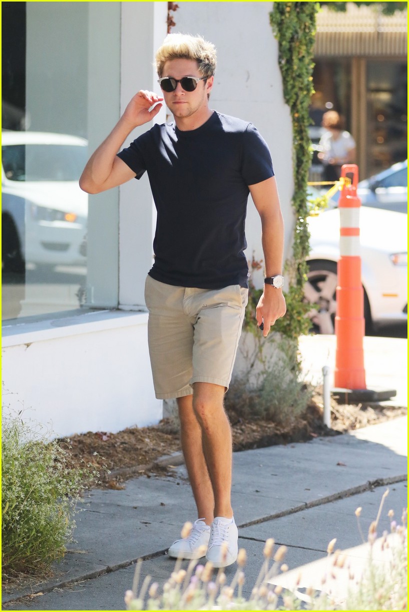 Niall Horan & Louis Tomlinson Challenge Haters to a Rap Battle | Photo ...